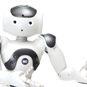 SRE`s Site - NAO6 Software downloads